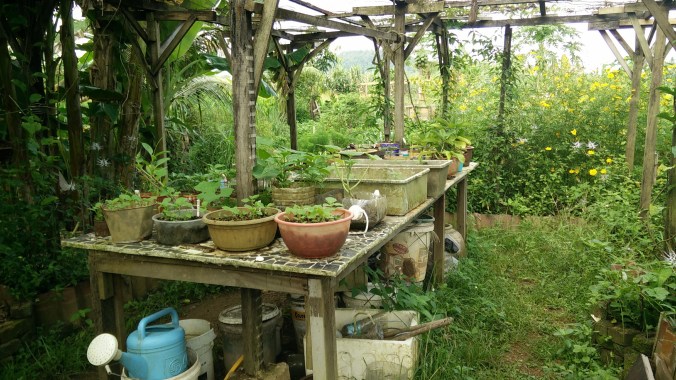 Serukam Farm: Where Waste Becomes Treasure | INTO THE ULU