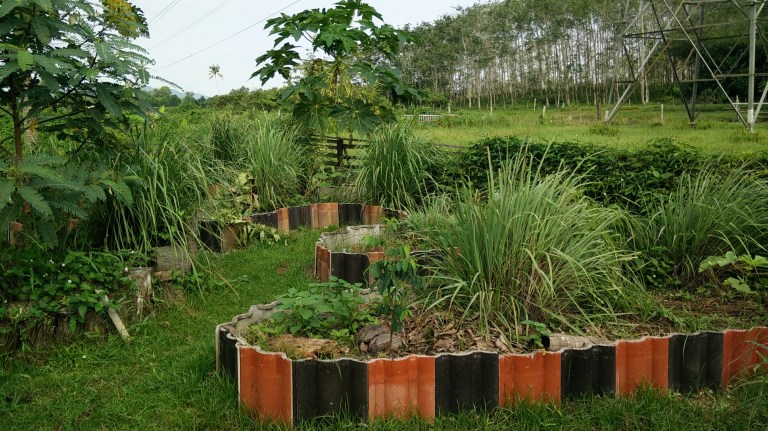 Serukam Farm: Where Waste Becomes Treasure | INTO THE ULU