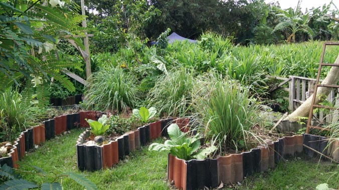 Serukam Farm: Where Waste Becomes Treasure | INTO THE ULU